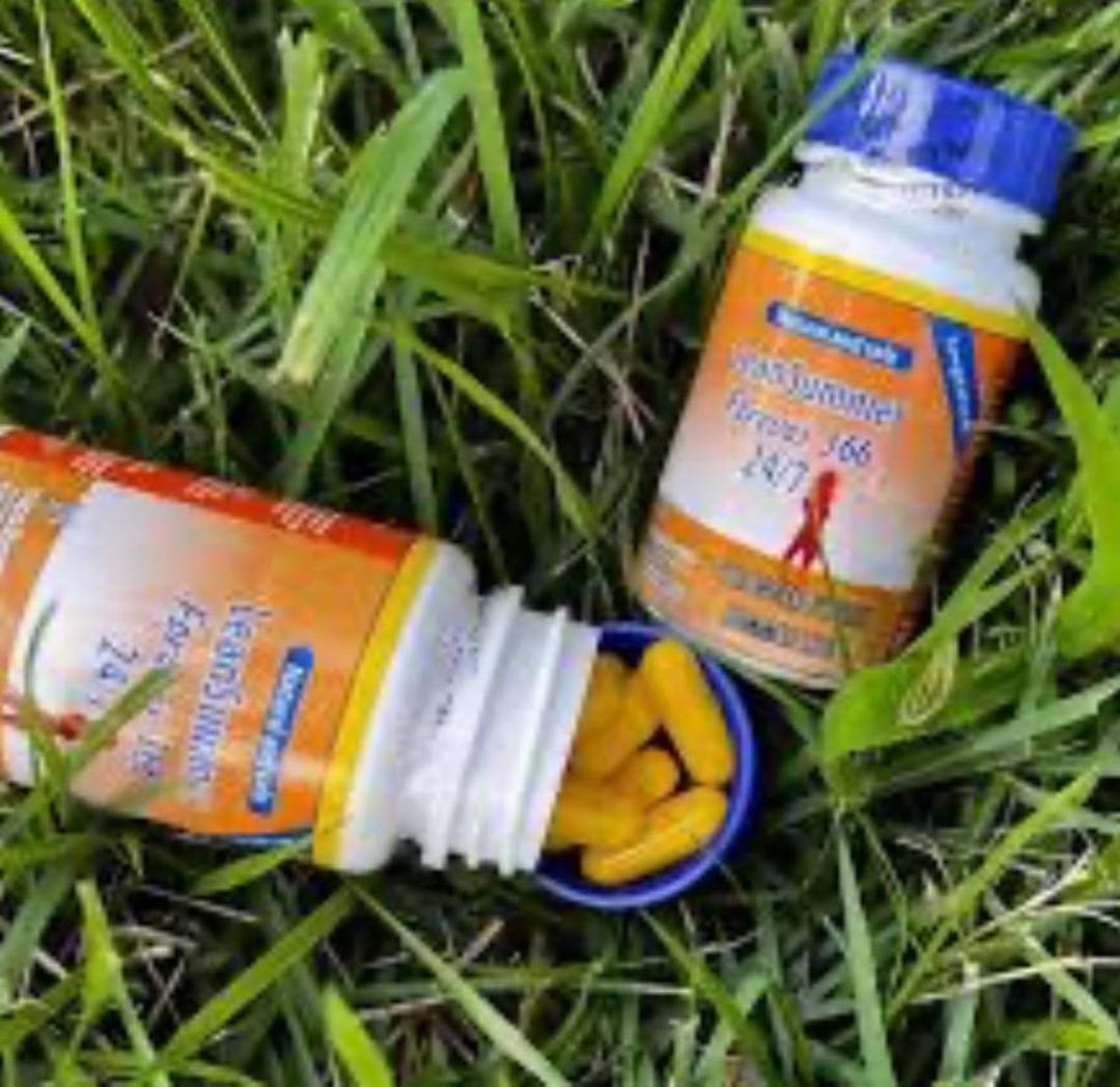Lean Summer Forever 366 - Etsy