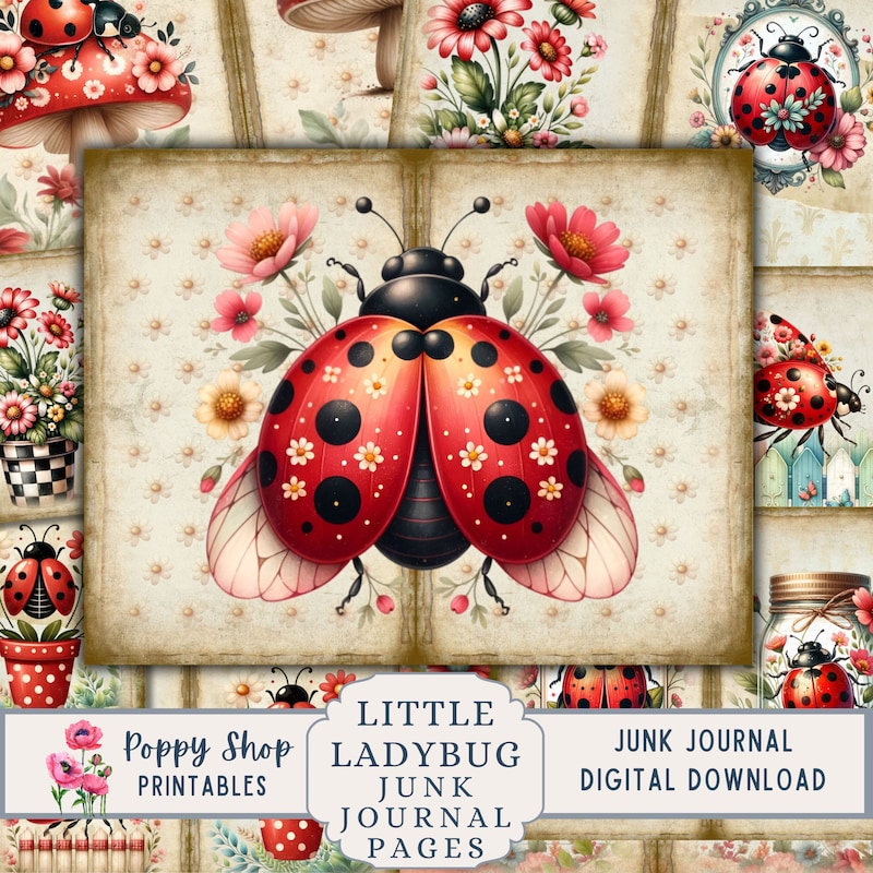 Ladybugs - Etsy
