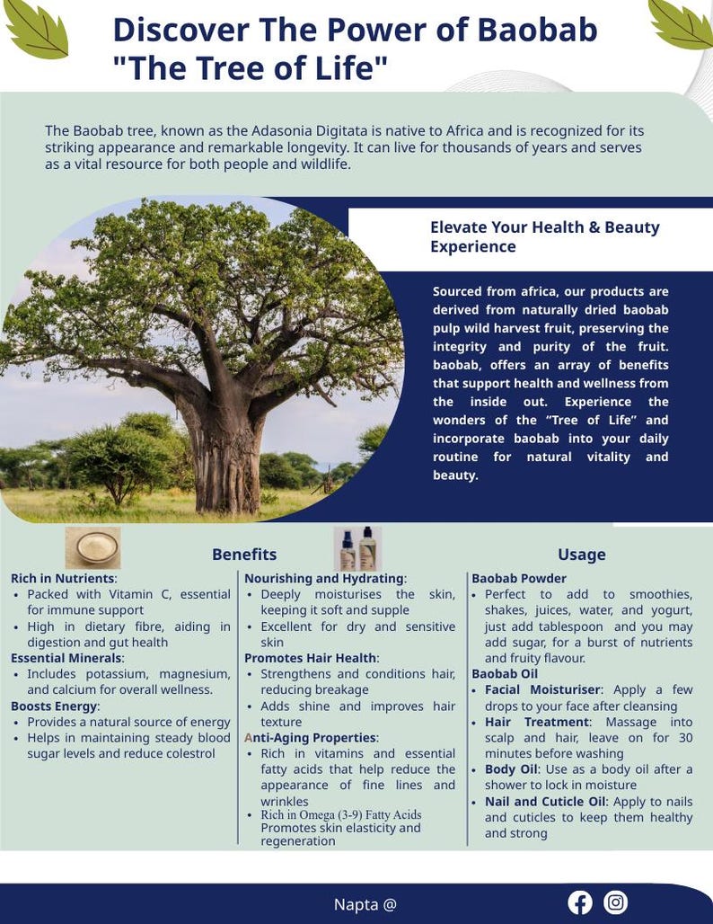 Napta Baobab Powder| Pure 100 % Natural Super Fruit | Wild Harvested - Etsy