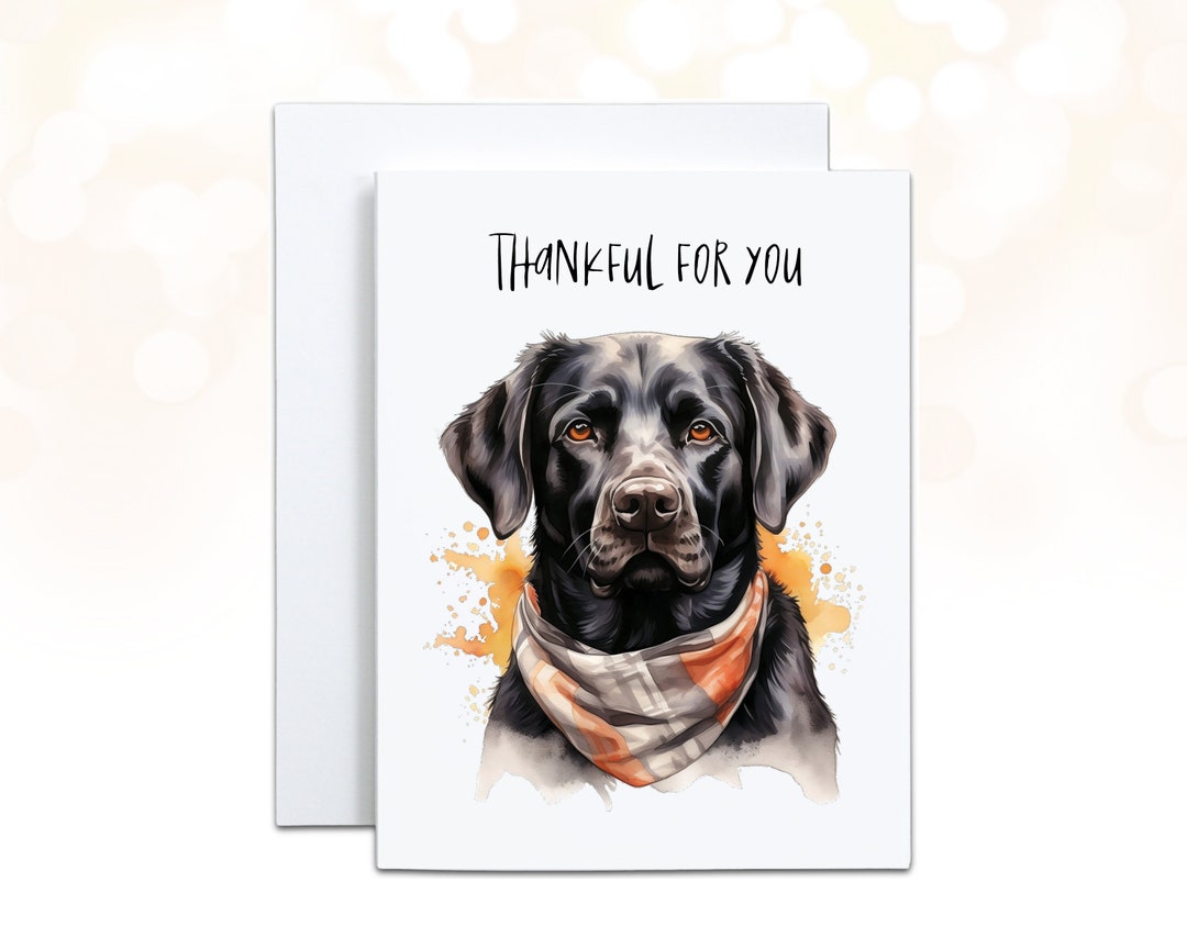 Black Lab Thanksgiving Card, Thankful for You Card, Fall Dog Bandana ...