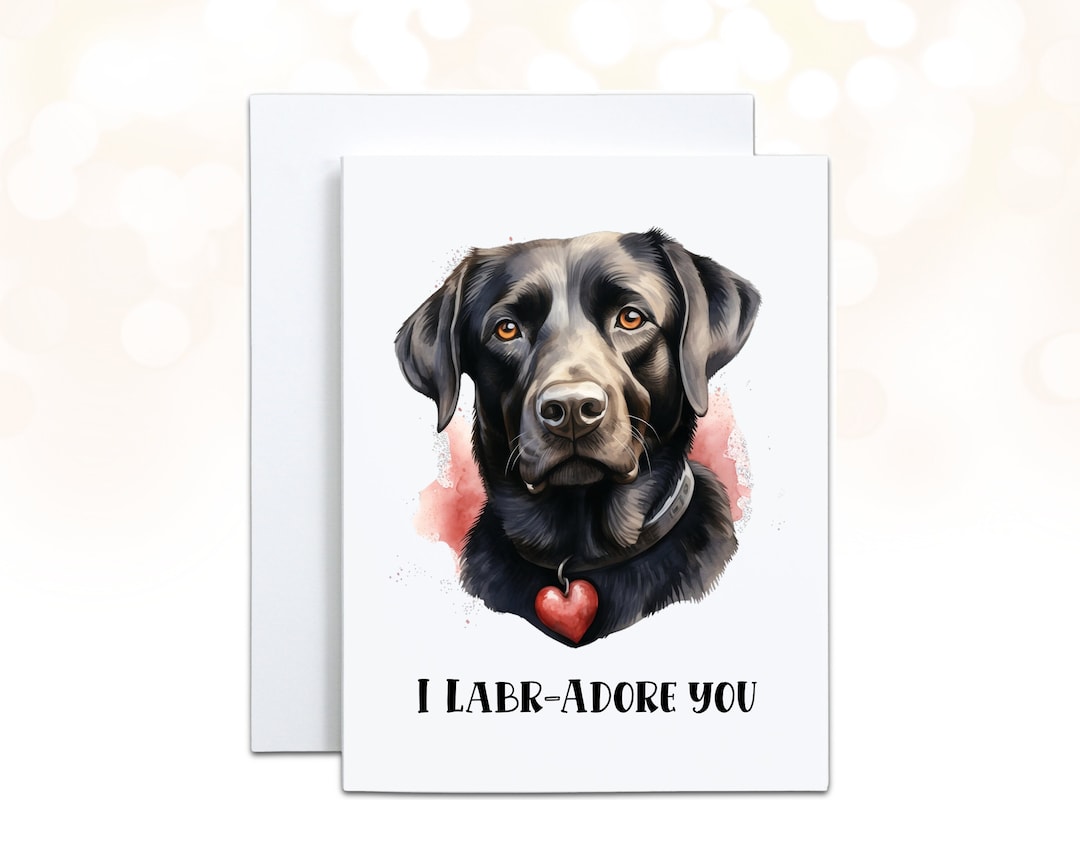 Black Lab Valentines Card, I Labr-adore You, Black Lab Gifts, Punny ...