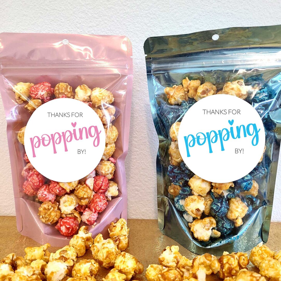 Popcorn Favors Thanks for Popping by 3 Stickers & Treat Bags, Real ...