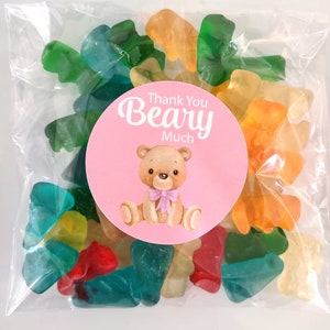 Teddy Bear Baby Shower Favors Girl Stickers With Bags, Thank You Beary ...