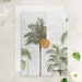 Elegant Palms Vellum Wrap, Tropical Beachy Botanical Translucent Vellum ...