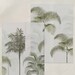 Elegant Palms Vellum Wrap, Tropical Beachy Botanical Translucent Vellum ...