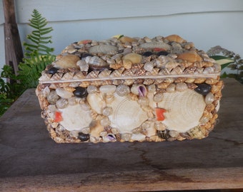 Beach Decor, Seashell Box, Florida Shell Box, Mermaid Gift, Coastal ...