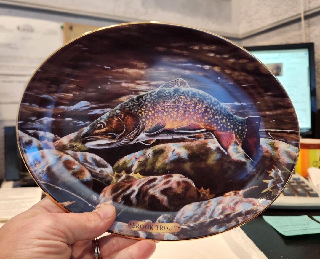 Ed Totten's brook Trout Plate Number 8 of Fresh Water Game Fish - Etsy