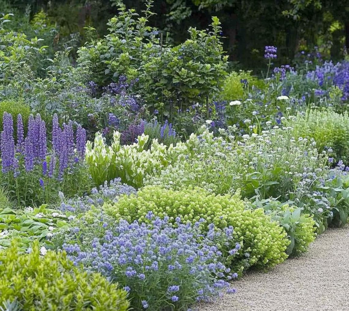 Mediterranean Garden Border (full Sun) - Etsy