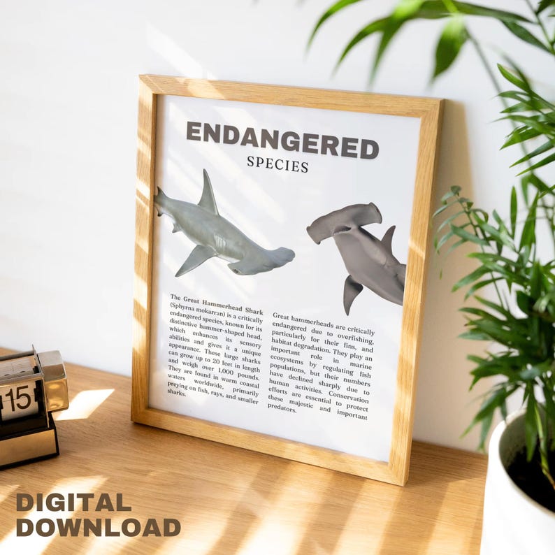 Endangered Great Hammerhead Shark Digital Wall Art Marine Life Print ...