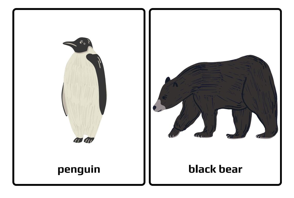 Ultimate Learning Flashcard Bundle – Alphabet, Fruits, Animals, Numbers ...