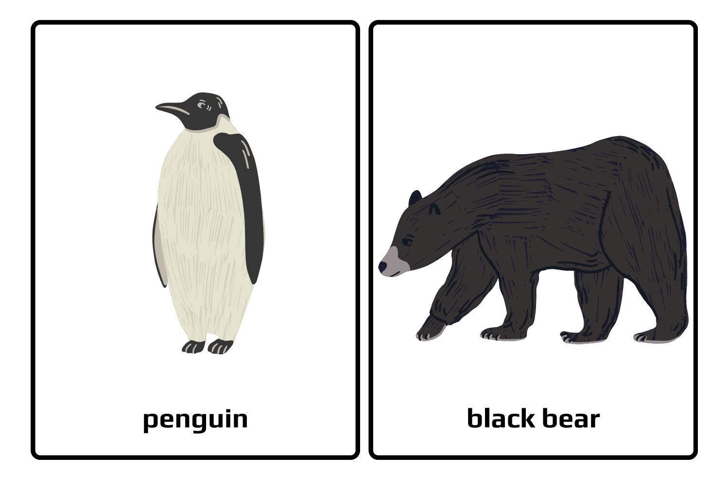 Ultimate Learning Flashcard Bundle – Alphabet, Fruits, Animals, Numbers ...