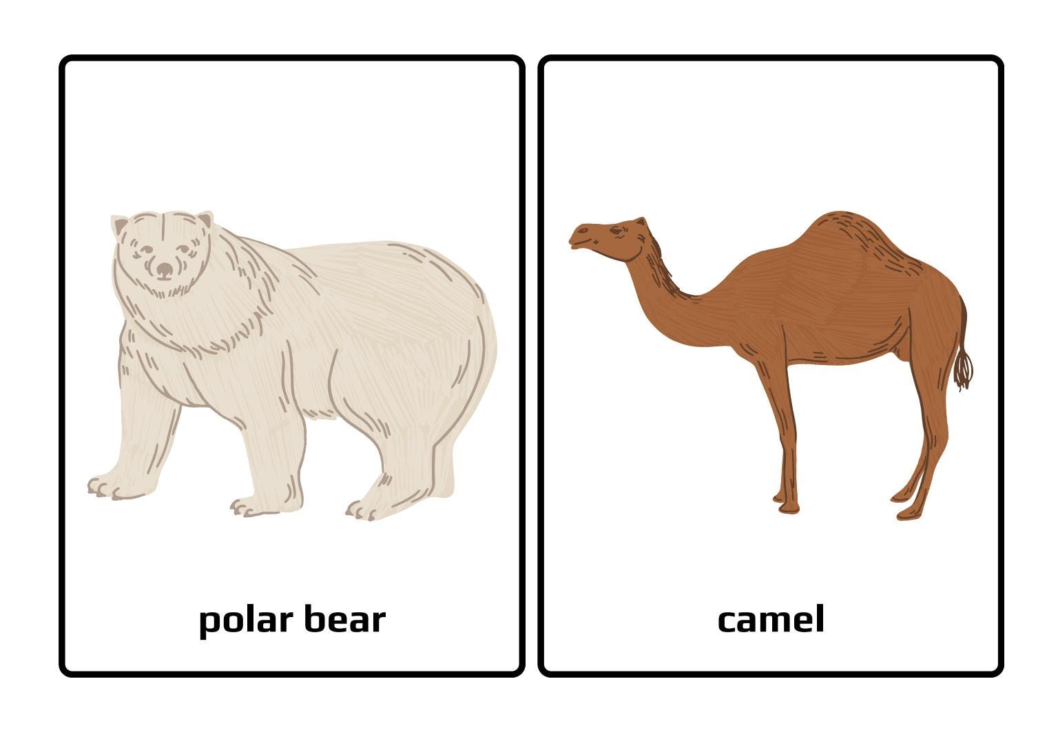 Ultimate Learning Flashcard Bundle – Alphabet, Fruits, Animals, Numbers ...