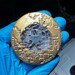 Power Rangers 2017 Movie Inspired Yellow Ranger Ninjetti Bear Coin - Etsy