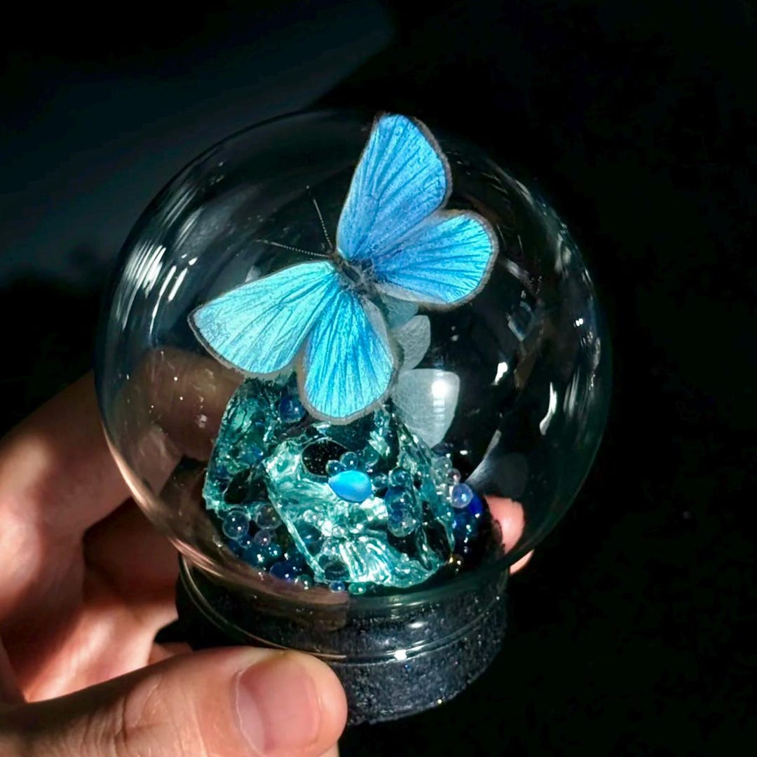 Lycaenidae Butterfly Bell Jar: Blue Crystal Display - Etsy