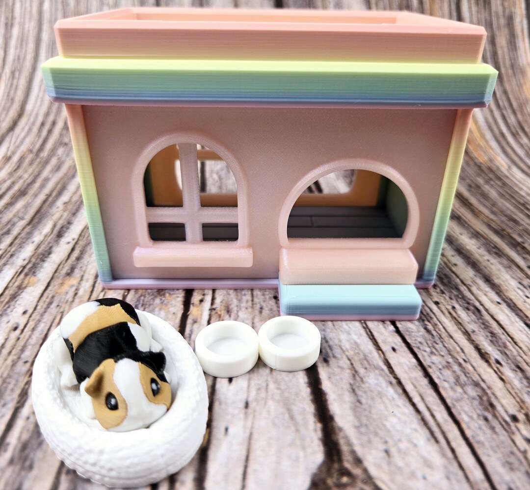 Tiny Guinea Pig With Miniature Pet House: Display Decor Collectible ...