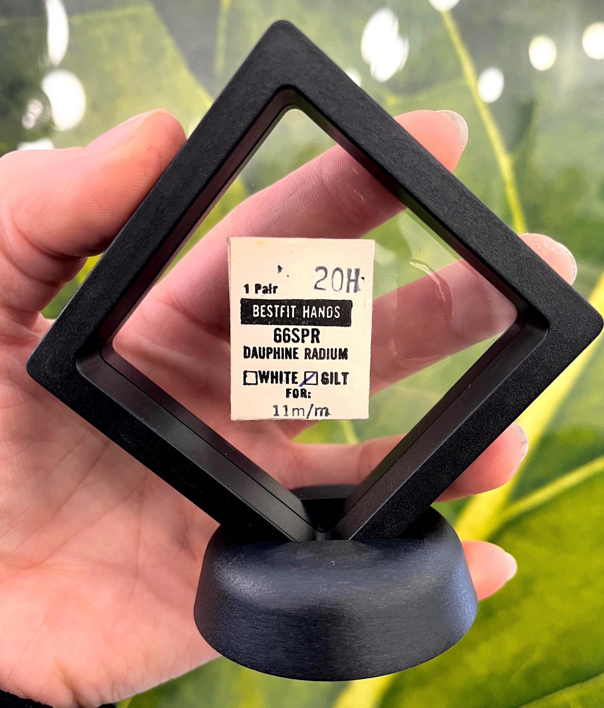 Antique Radium Watch Hands in Original Packaging - 1 Set With Display ...