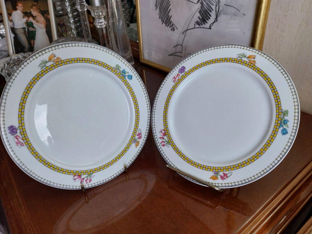 A Pair of 2 Gottinghen Bavaria Germany Dessert Plates, Royal Quality ...