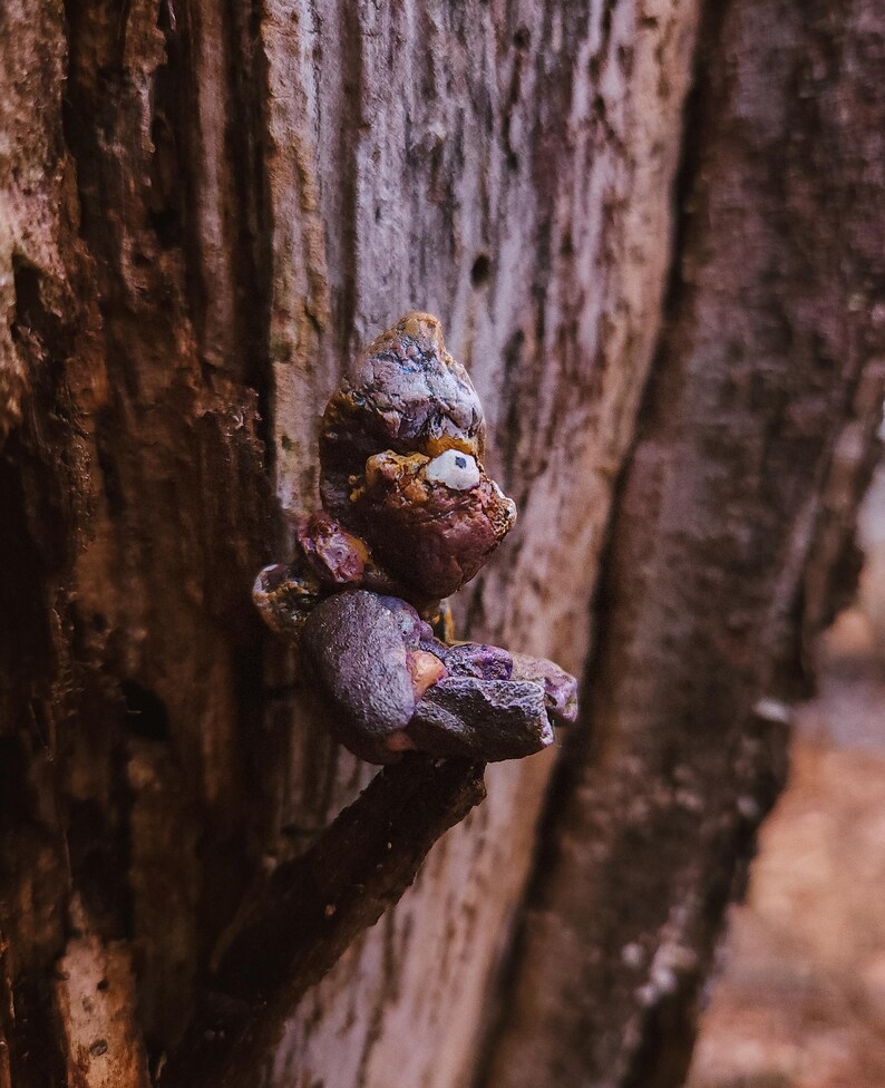 Rocklin, Handmade Rock Goblin Creature Whimsical Stone Art. - Etsy