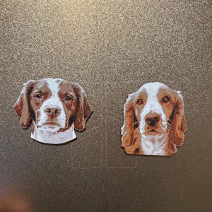 Customized 3D Printed Pet Magnet With Your Pet's Face, Pet Portrait ...