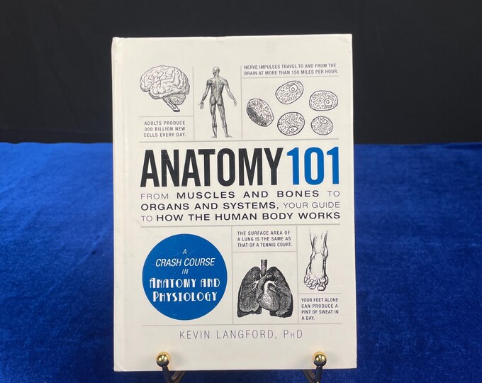 2015 “anatomy 101” by Kevin Langford – Illustrated Crash Course in ...