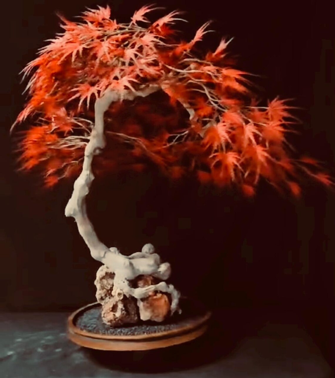 Unique Japanese Maple Bonsai Tree. Artificial Bonsai, Faux Maple Tree ...