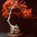 Unique Japanese Maple Bonsai Tree. Artificial Bonsai, Faux Maple Tree ...
