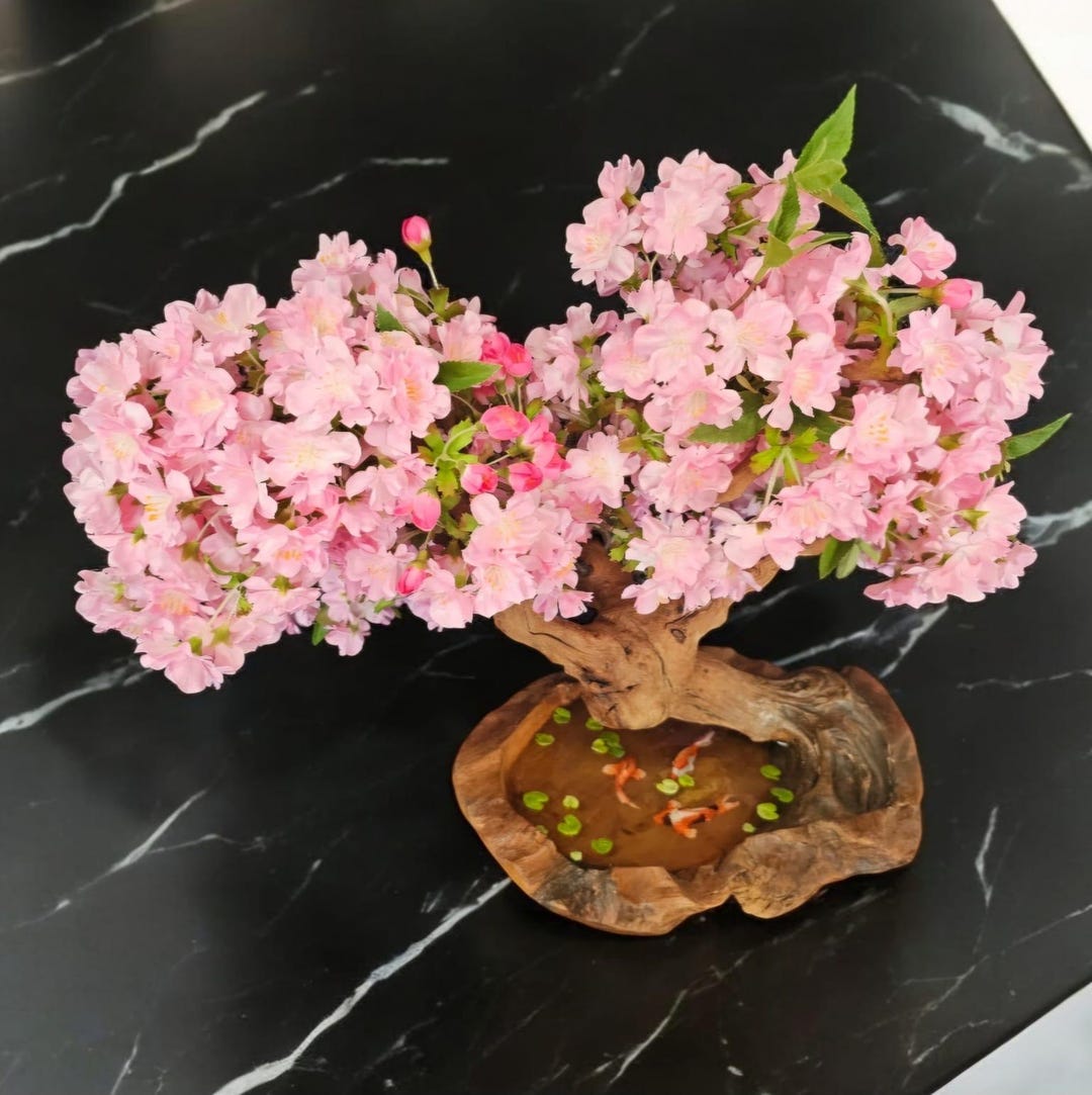 Fabulous Cherry Bonsai Tree, Japanese Cherry Bonsai, Cherry Blossom ...