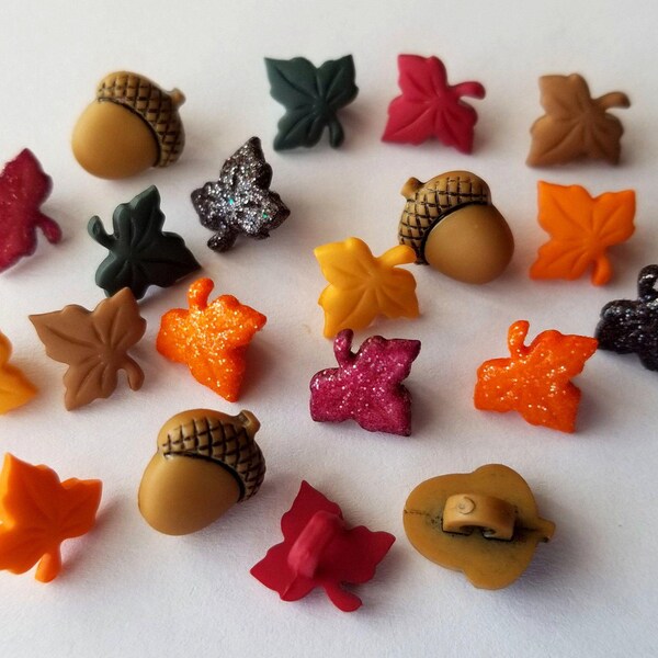 Acorn Button - Etsy