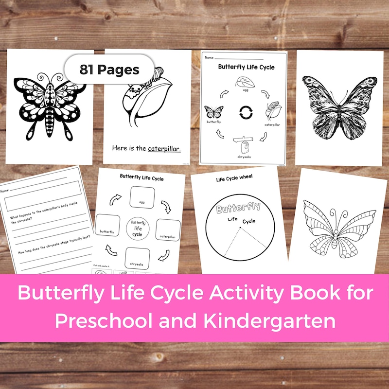 Butterfly Coloring Book - Etsy