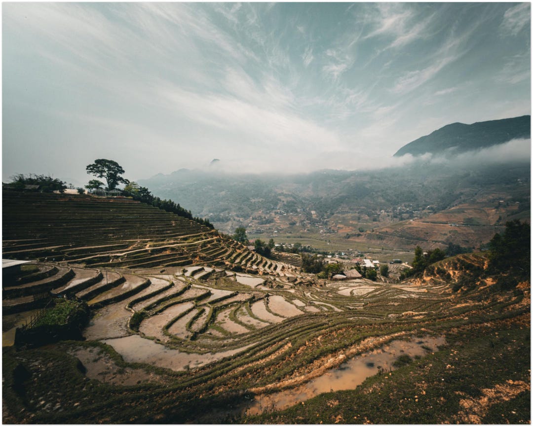 Emerald Terraces of Sapa, Vietnam Classic Semi-glossy Paper Poster - Etsy