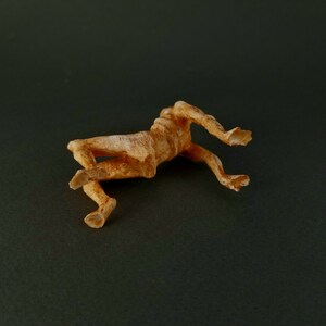 Xtro the Skinwalker - Etsy