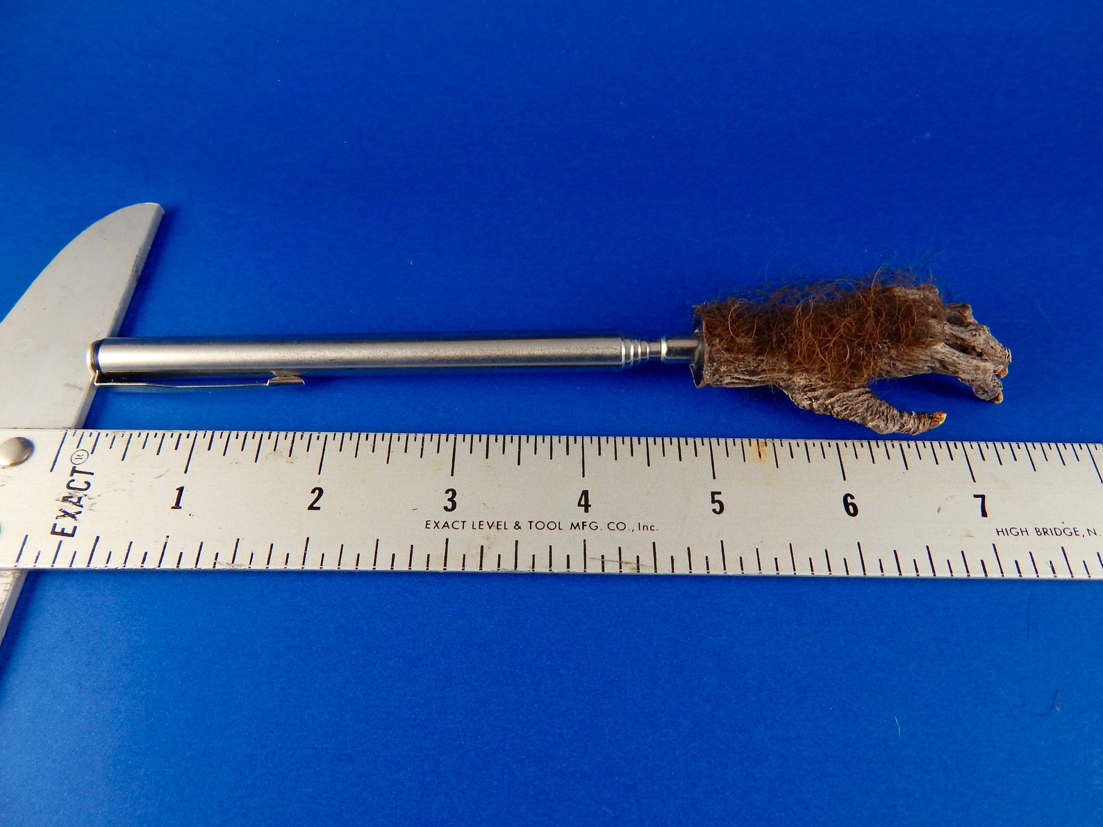 Monkeys Paw Backscratcher - Etsy