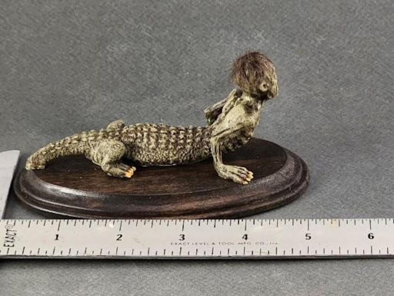 Gator Guy - Etsy