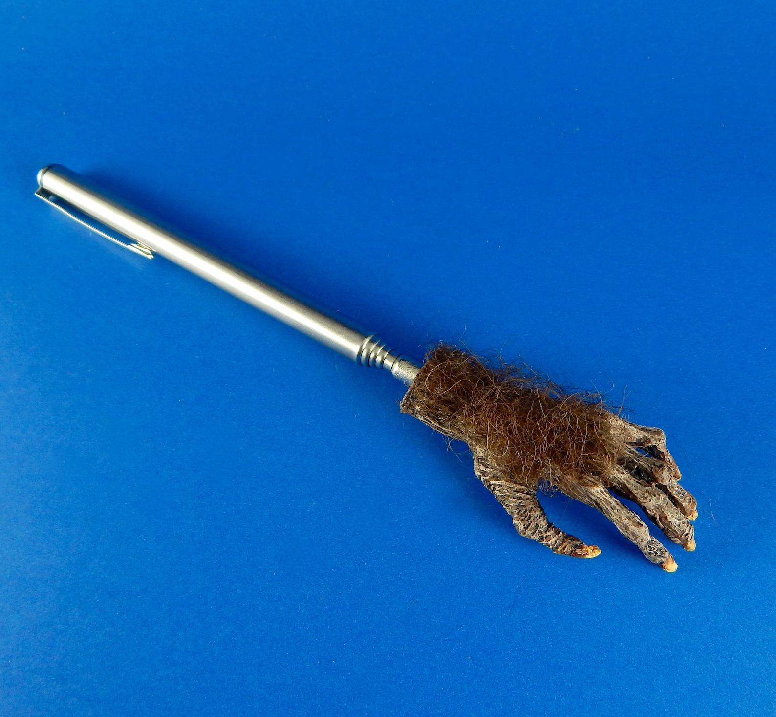 Monkeys Paw Backscratcher - Etsy