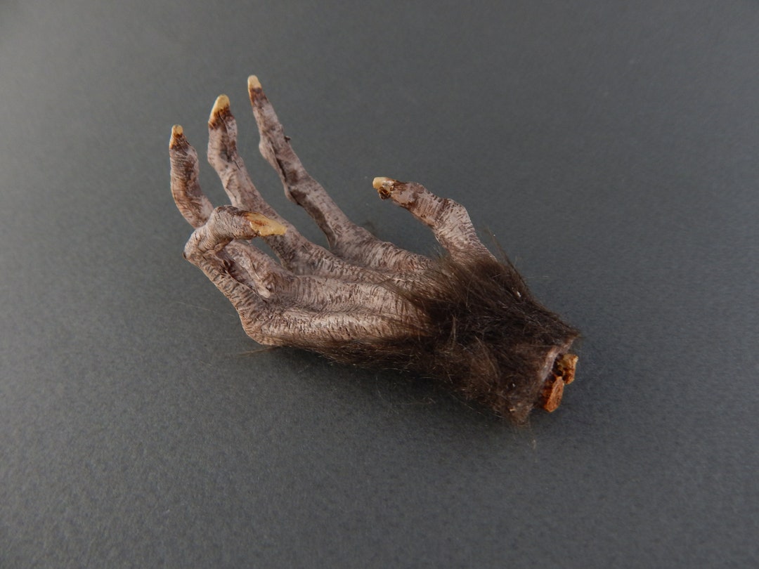 The Monkey's Paw - Etsy