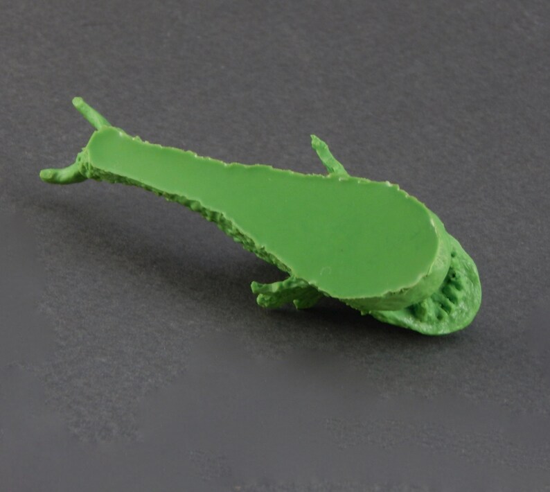 Slide Rock Bolter: Cryptids of North America #28 - Etsy