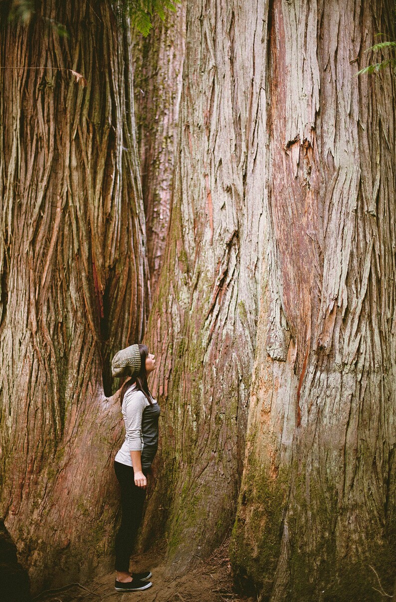 KNITTING PATTERN Eyelet Mock-cable Reverse Stockinette - Etsy