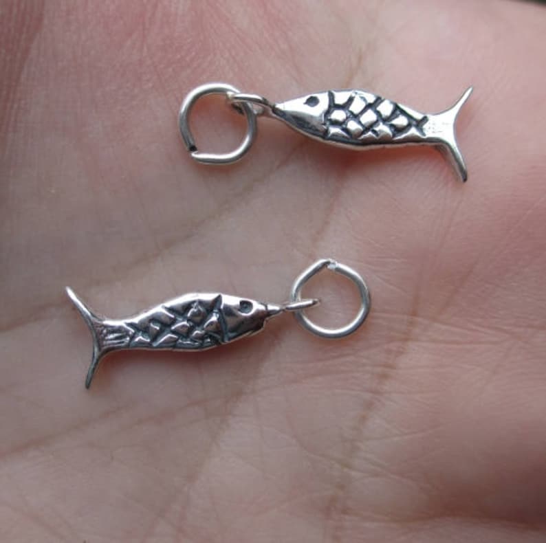 Sterling Silver Fish Charm or Tropical Fish Charm - Etsy