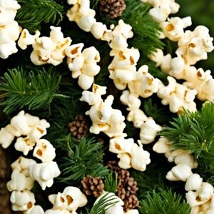 REAL Popcorn Garland Decoration - Handstrung From White Popcorn - Etsy