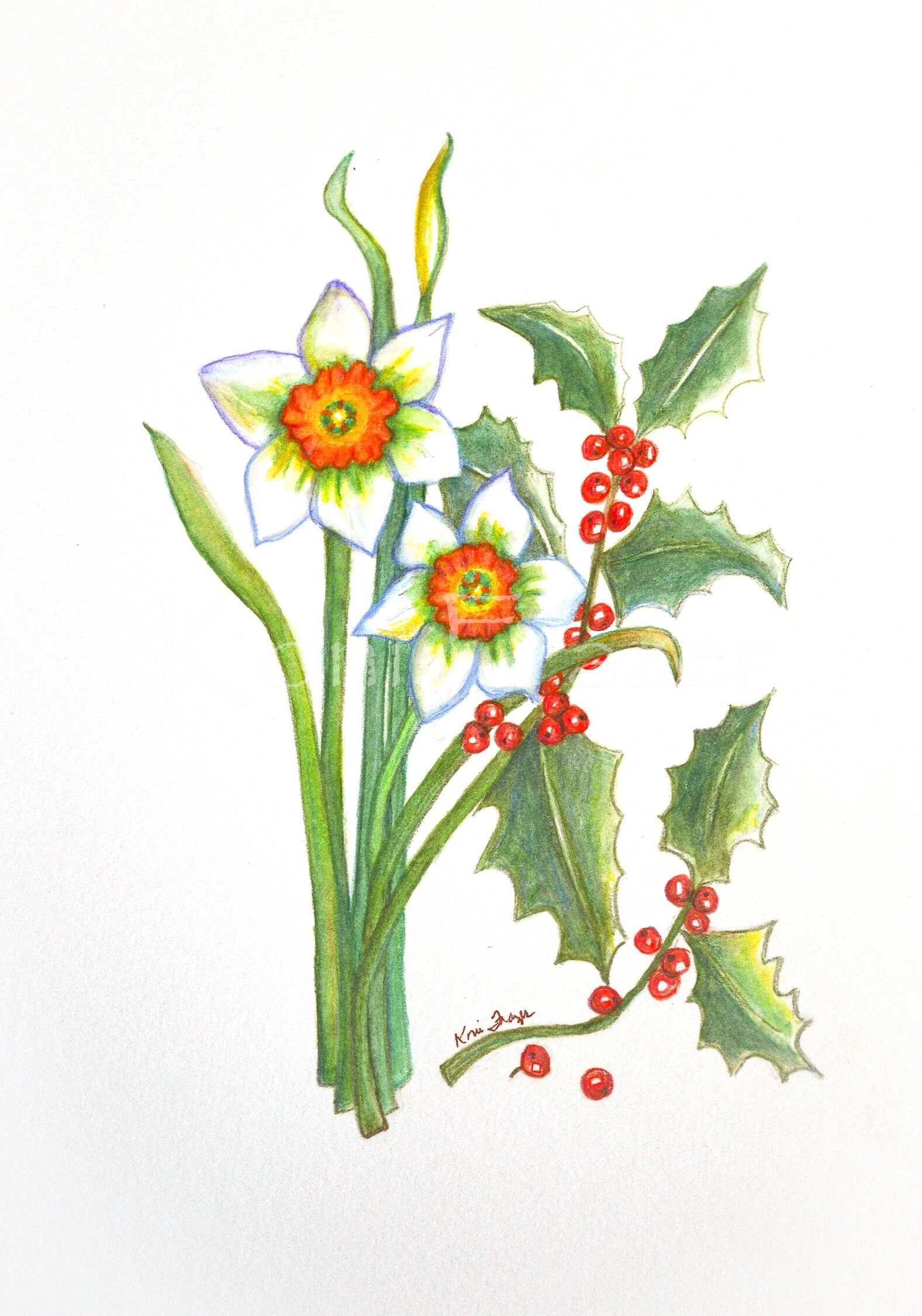 December Birth Flower Images