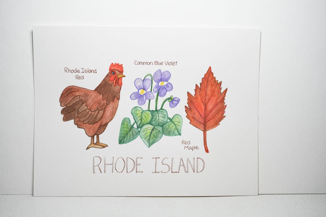 Rhode Island State Symbols: Original Watercolor Painting - Etsy