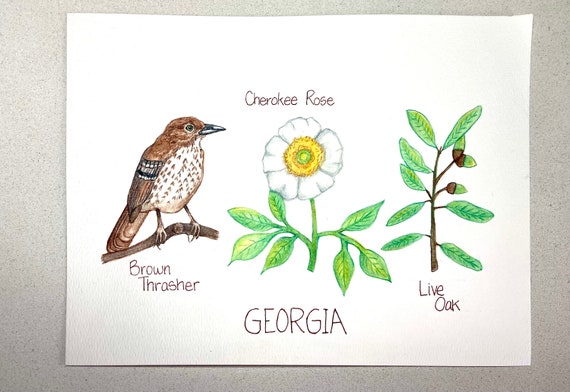 Georgia State Animal