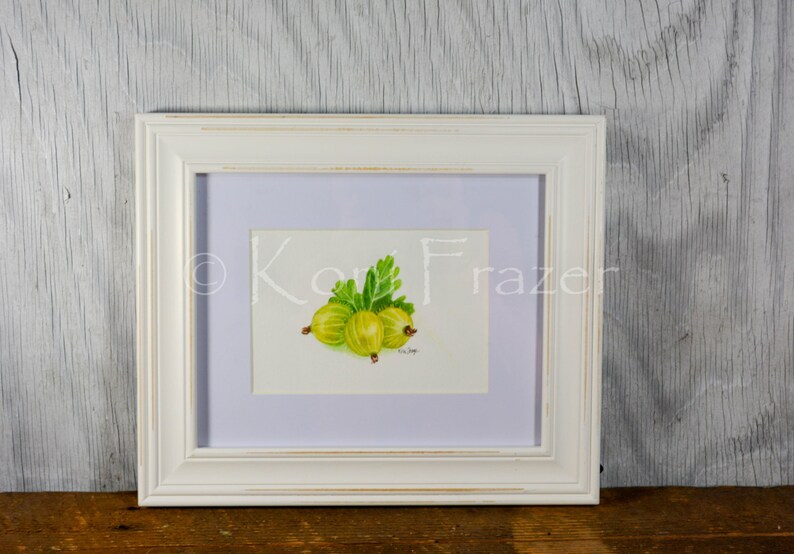 Watercolor Painting of Gooseberries, Indian Gooseberry, Original ...