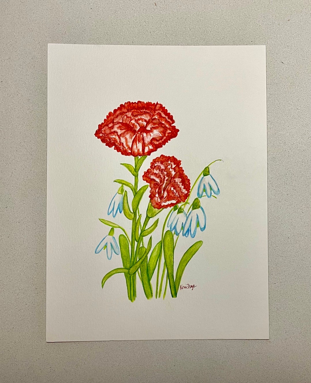 Carnation, Snowdrop January Birthday Flower, Original Watercolor ...