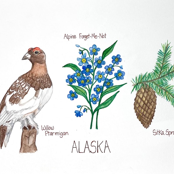Willow Ptarmigan - Etsy