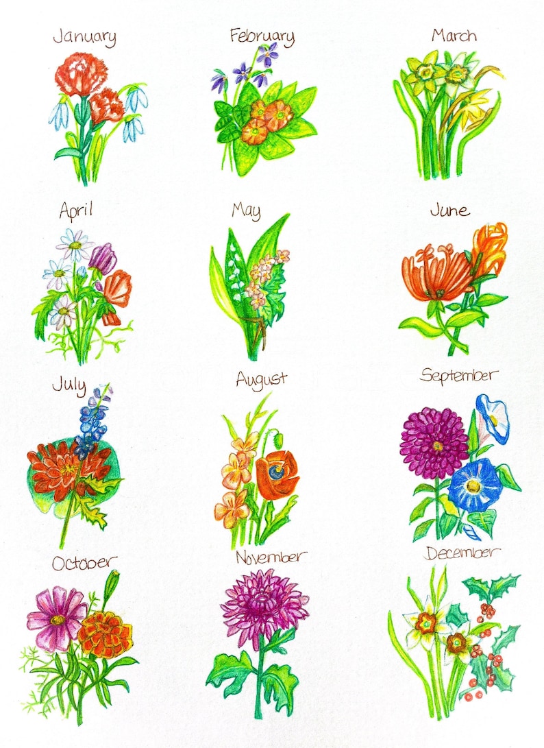 Birthday Flowers by Month, Birthday Month Flower Chart, Birth Month ...