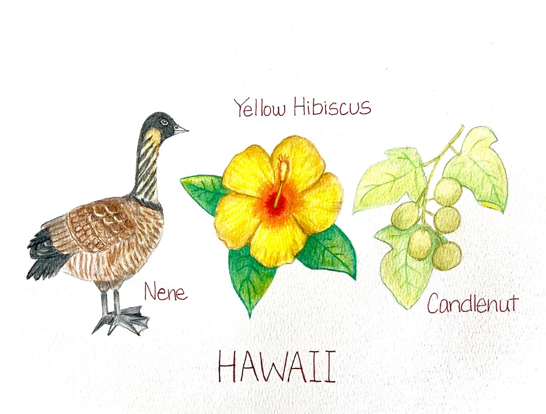 Hawaii State Bird, Flower, Tree, Original Watercolor, State Art, Nene ...