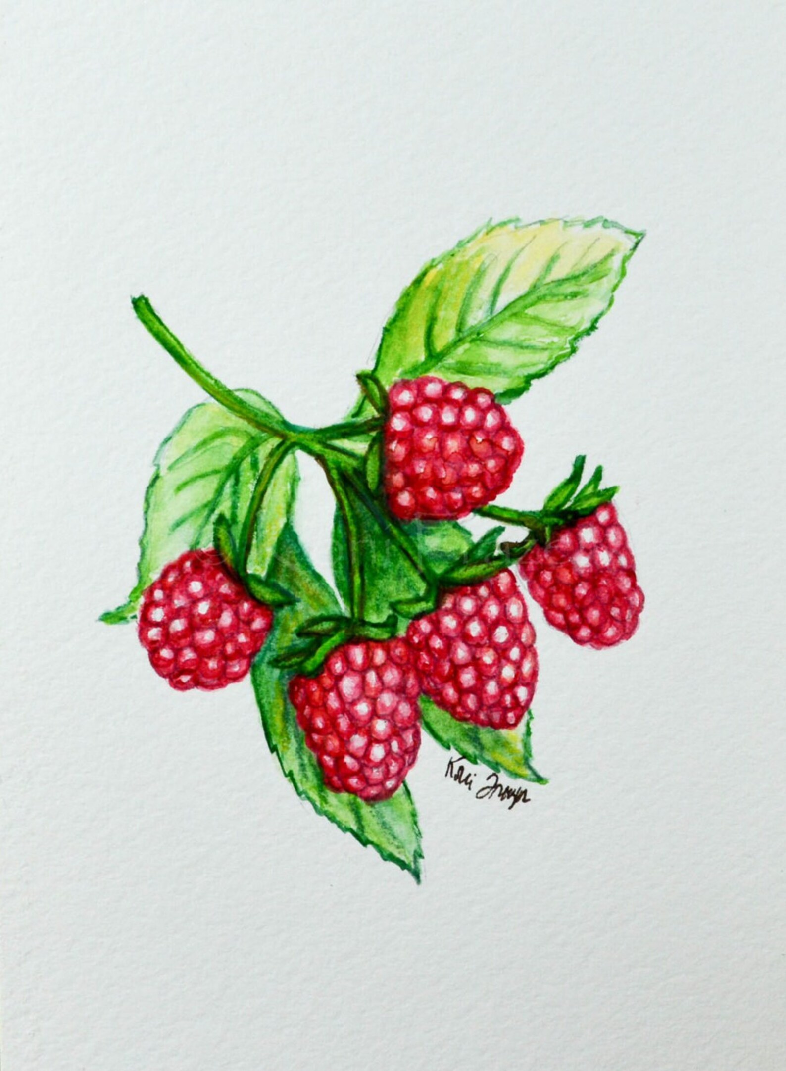 Original Raspberry Watercolor Painting: Kitchen Art, 5x7, Ready to ...