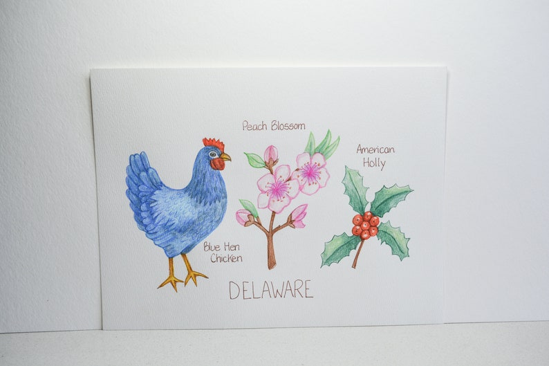 Delaware State Symbols: Blue Hen, Peach Blossom, Holly Watercolor ...
