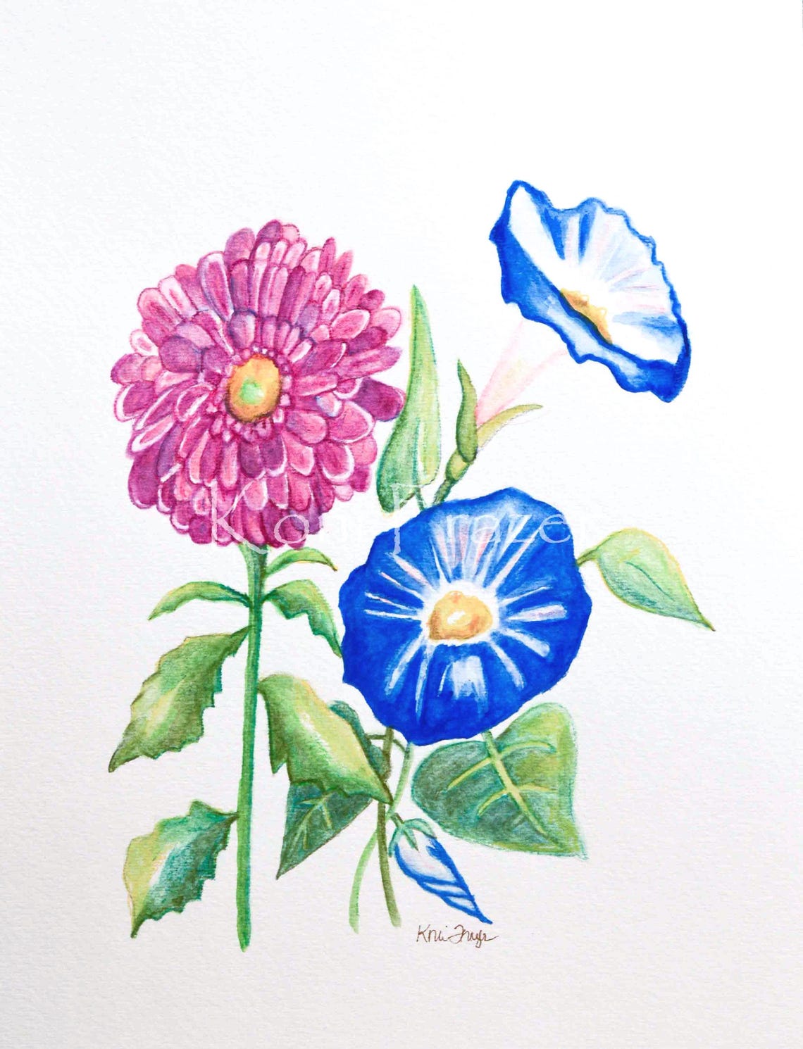 Aster and Morning Glory Watercolor Painting: September Birthday Gift - Etsy
